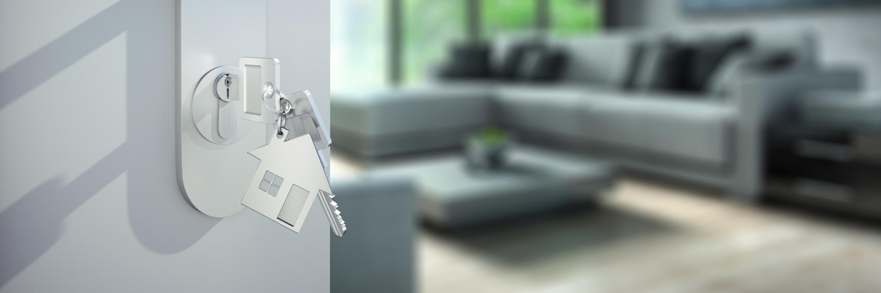 Search list - Delmor